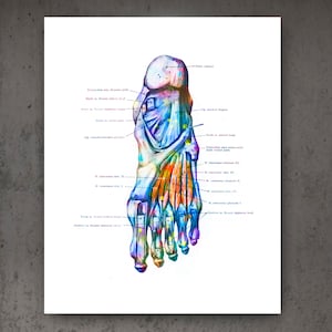 Foot Muscles Poster Anatomical Foot Print Human Anatomy Art Medical ...