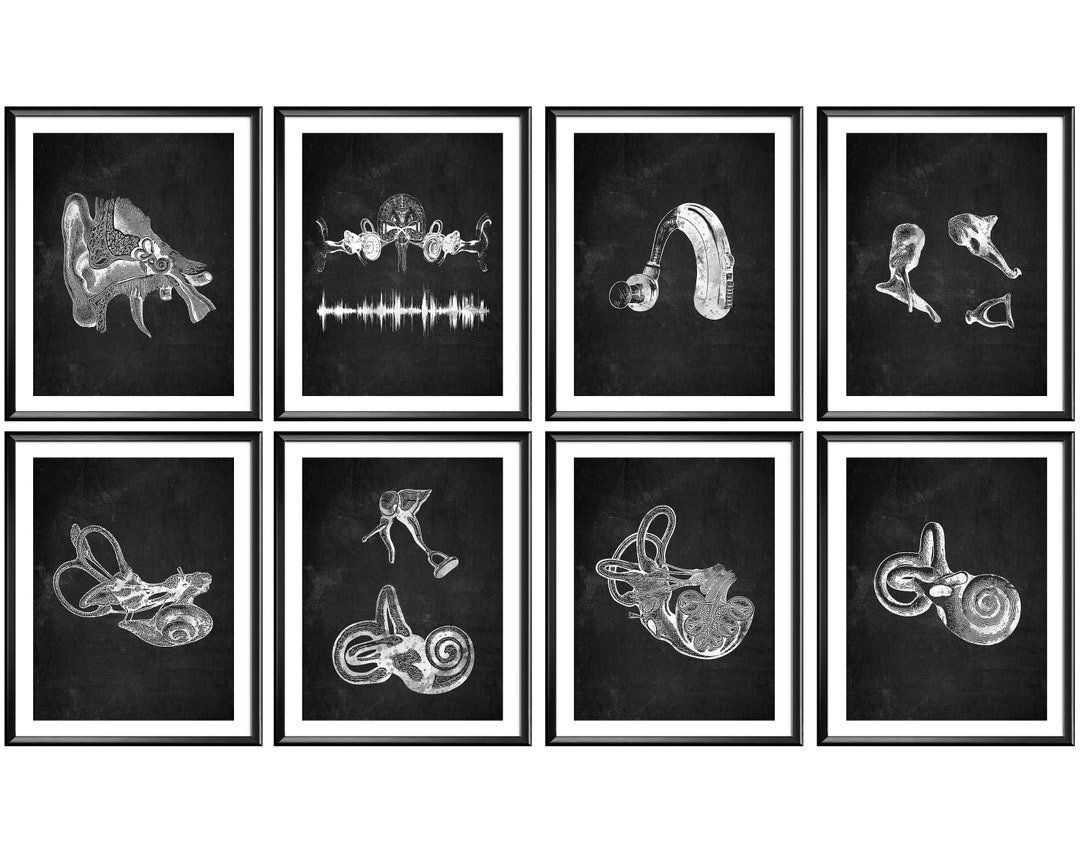 8 Human Hearing System Anatomy Art Chalkboard Art Inner Ear Structure ...