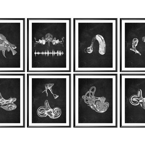 Hearing Art Ear Anatomy Poster Medical Art Audiology Poster - Etsy
