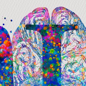 PSI Symbol and Brain Art Psychology Art Psychiatrist Gift Medical ...