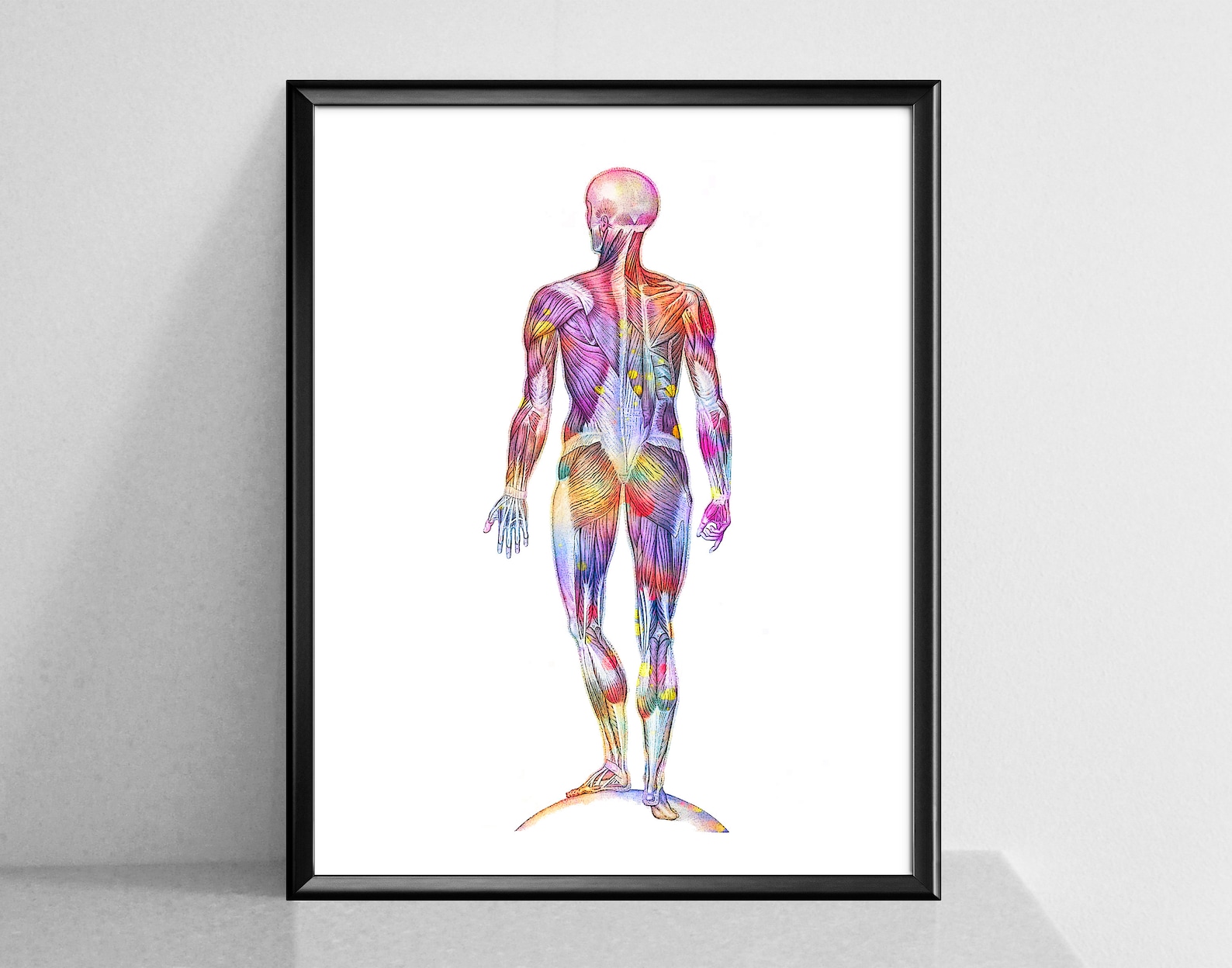 Human Anatomy Watercolor Print Set of 6 Skeletal Bones | Etsy
