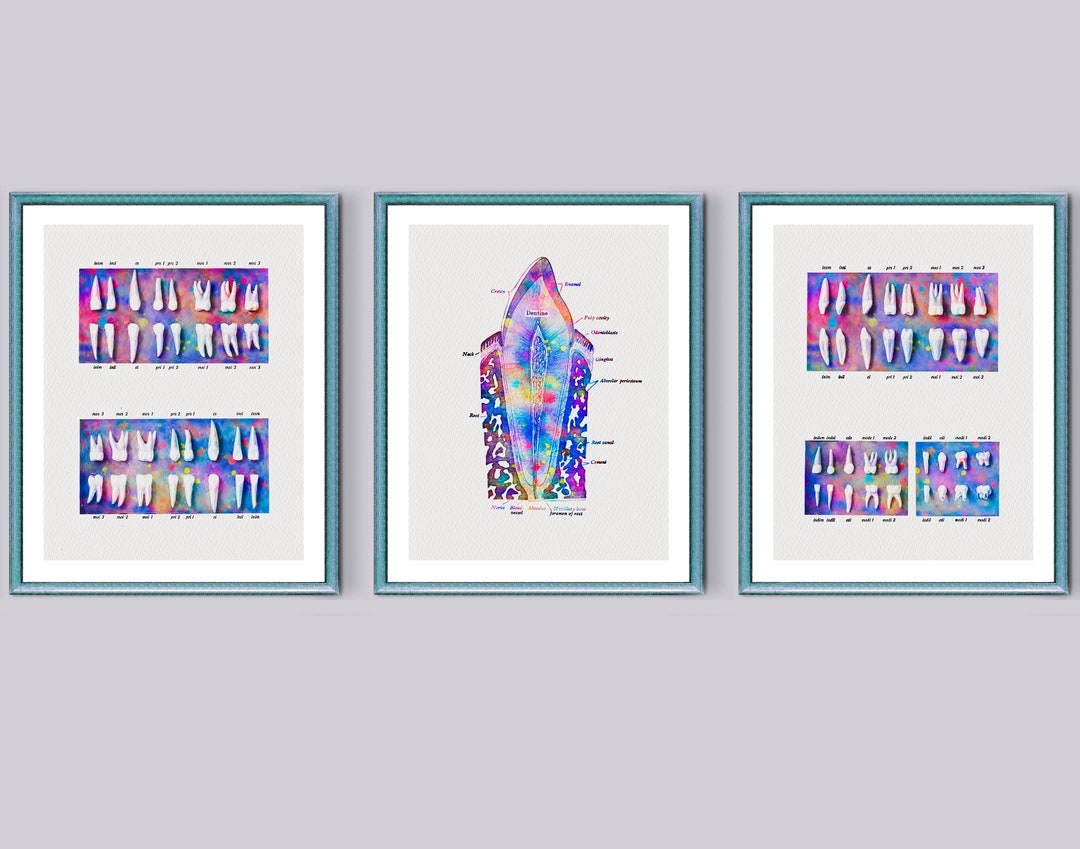 Dentist Gift Watercolor Tooth Anatomy Art Dental Clinic Wall Decor ...