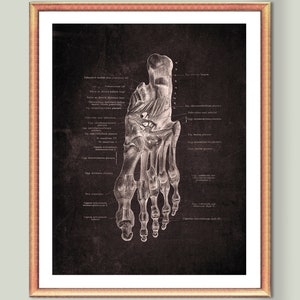 Anatomical Foot Poster Set of 8 Medical Poster Chalkboard Art Foot ...