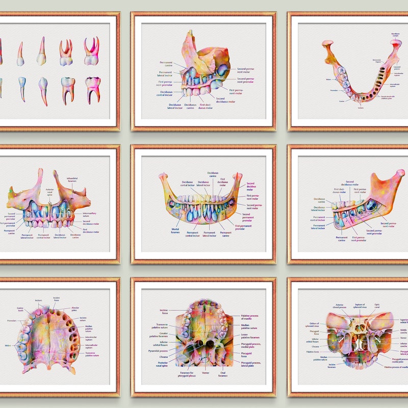 Dental Poster - Etsy