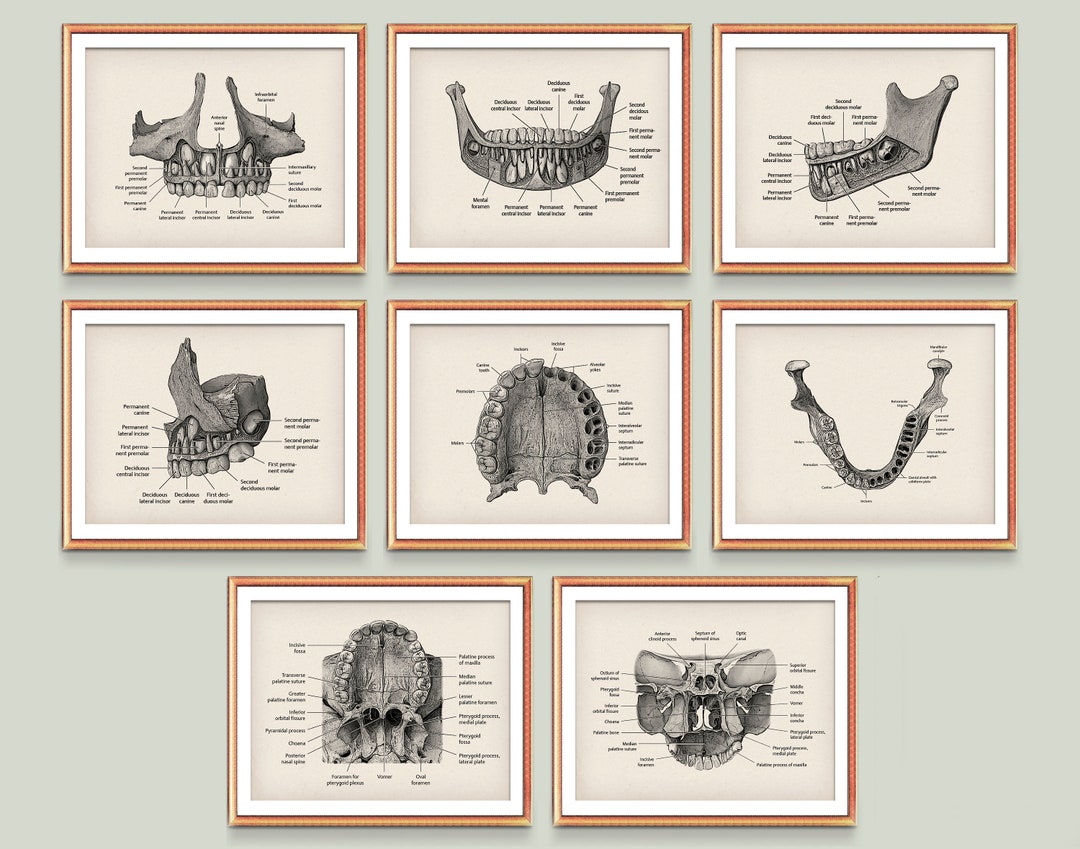 8 Pediatric Dentistry Vintage Art Posters Dental Office Decor Dental ...