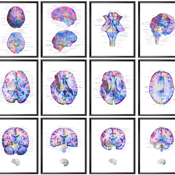 Brain Art - Etsy