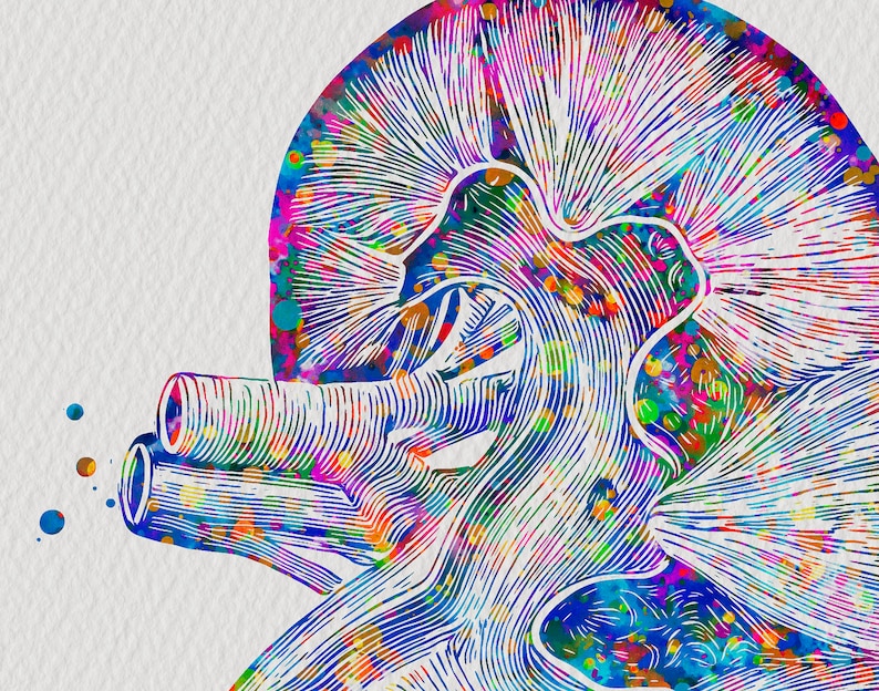 Nephrologist Gift Anatomical Kidney Art Watercolor Kidney | Etsy