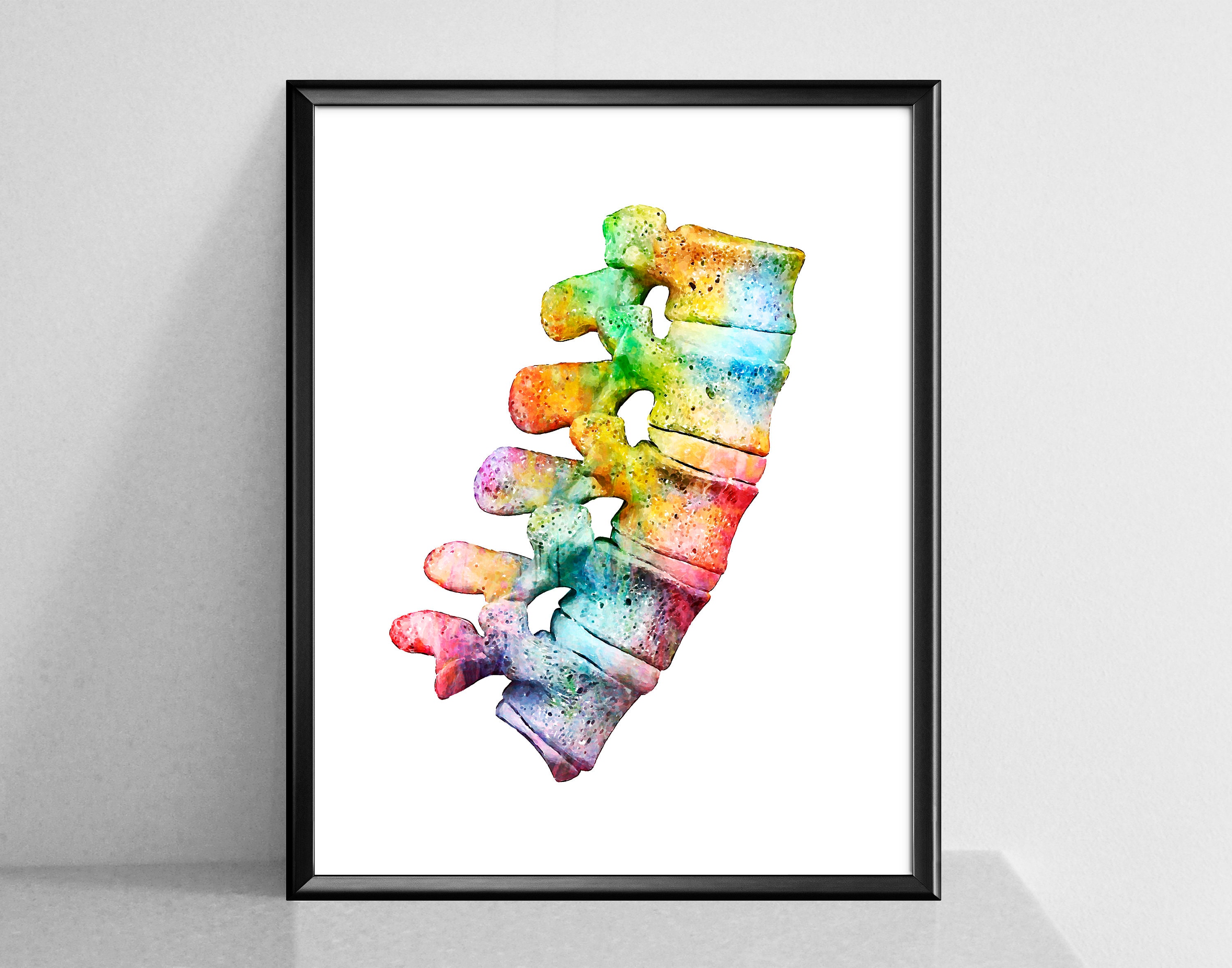 Lumbar Spine Watercolor Art Vertebral Column Art Watercolor - Etsy