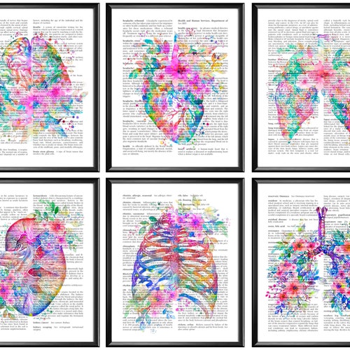 6 Watercolor Anatomy Internal Organs and Flowers Dictionary - Etsy