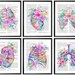 Human Muscular System Anatomy Poster Set of 12 Muscles Structure Print ...
