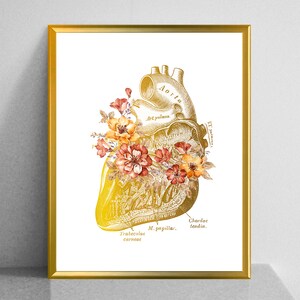 4 Gold Human Heart Anatomy Art, Cardiology Art, Anatomical Heart Poster ...