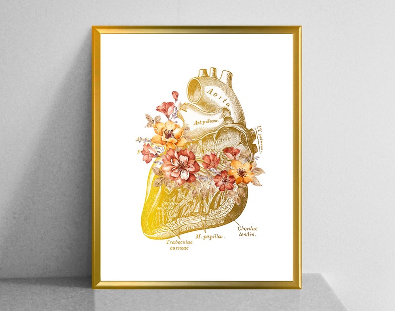 4 Gold Human Heart Anatomy Art Cardiology Art Anatomical - Etsy