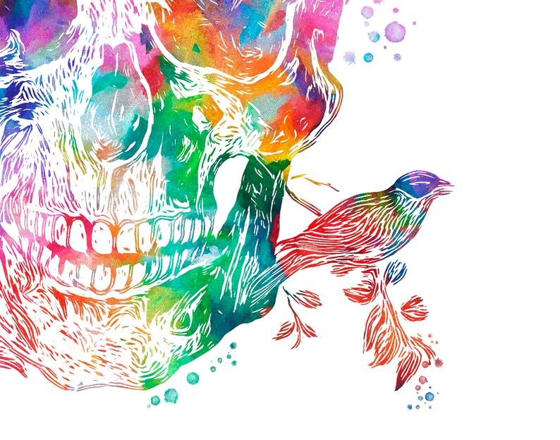 Human Skull Art Watercolor Anatomy Painting Medical Art Doctor - Etsy