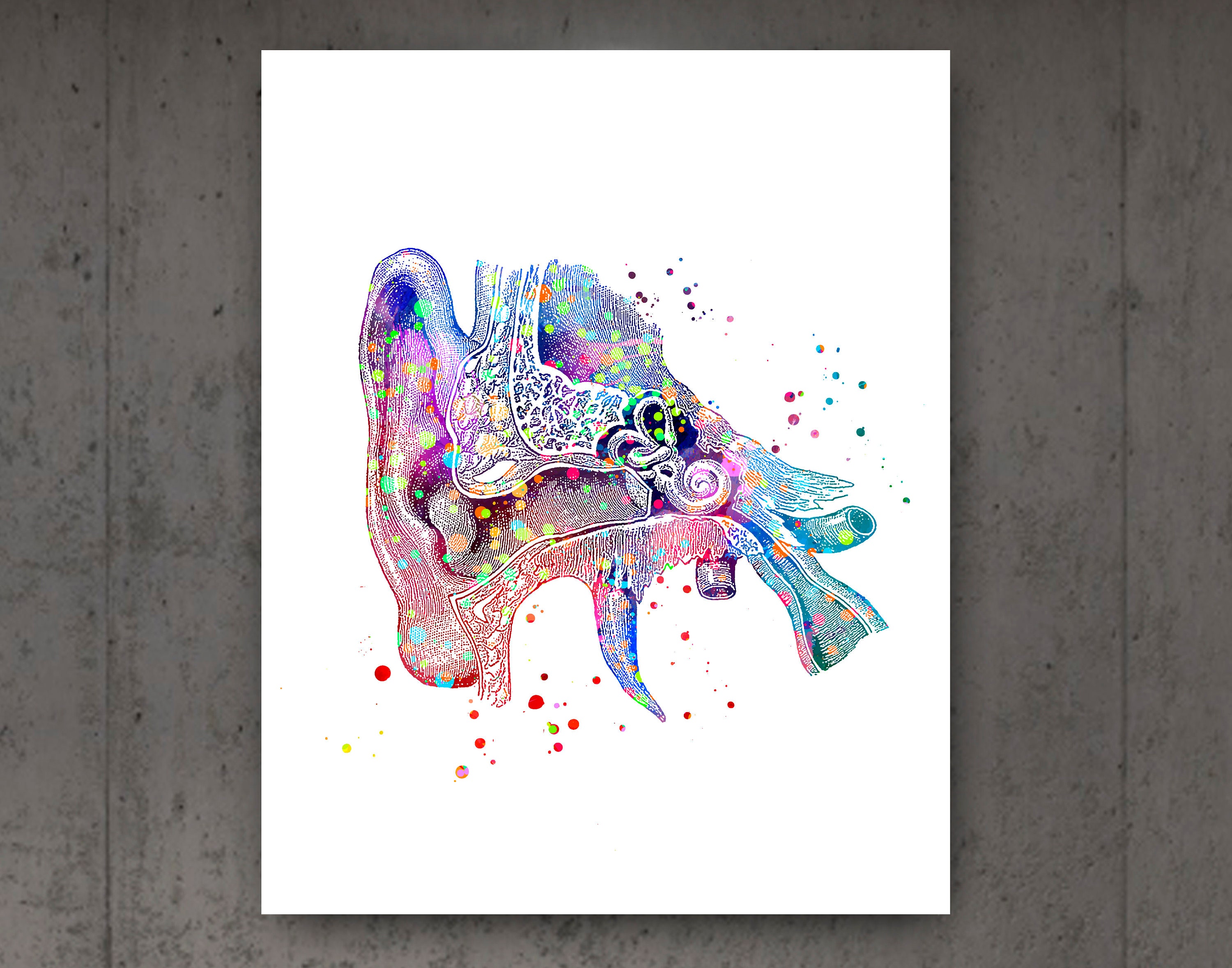 Inner Ear Anatomy Print Set of 6 Cochea Poster Audiologist - Etsy