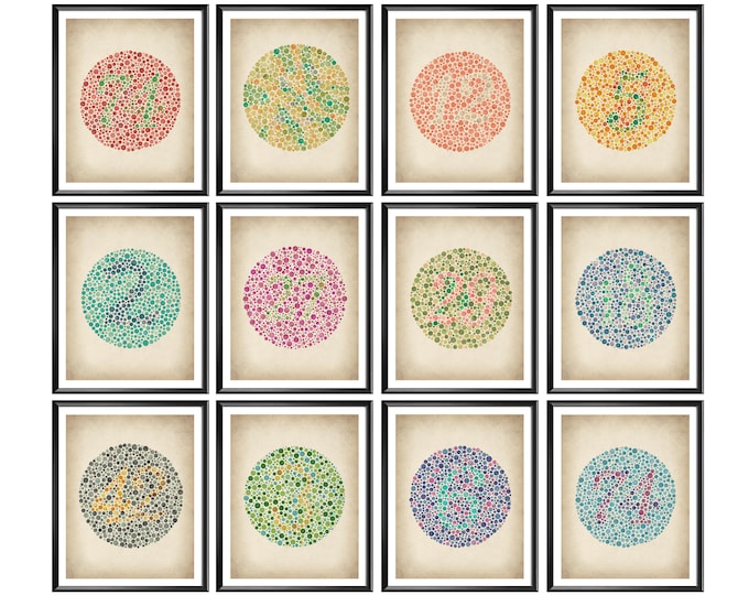 Ishihara Color Vision Test Book: 24 Plates, User Manual & Occluder ...