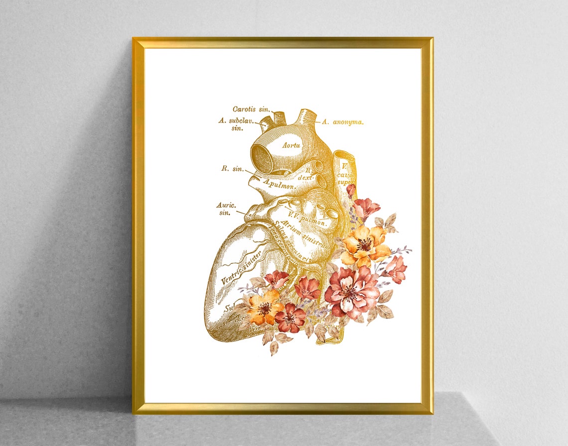 4 Gold Human Heart Anatomy Art Cardiology Art Anatomical - Etsy