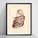 Cardiologist Decor, Antique Anatomical Heart, Vintage Heart Anatomy ...