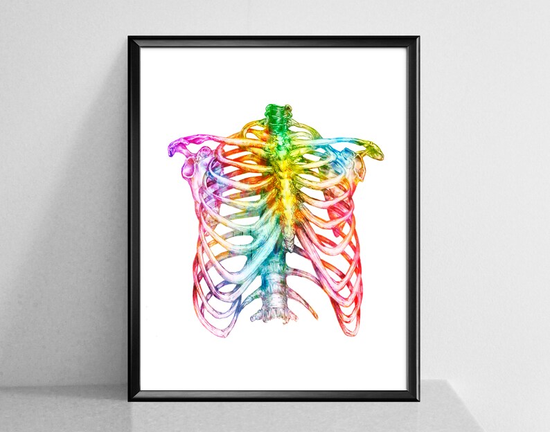 Rib Cage Watercolor Art Skeleton Anatomy Art Thorax Wall - Etsy