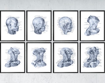 Chart Neck Diagram - Etsy