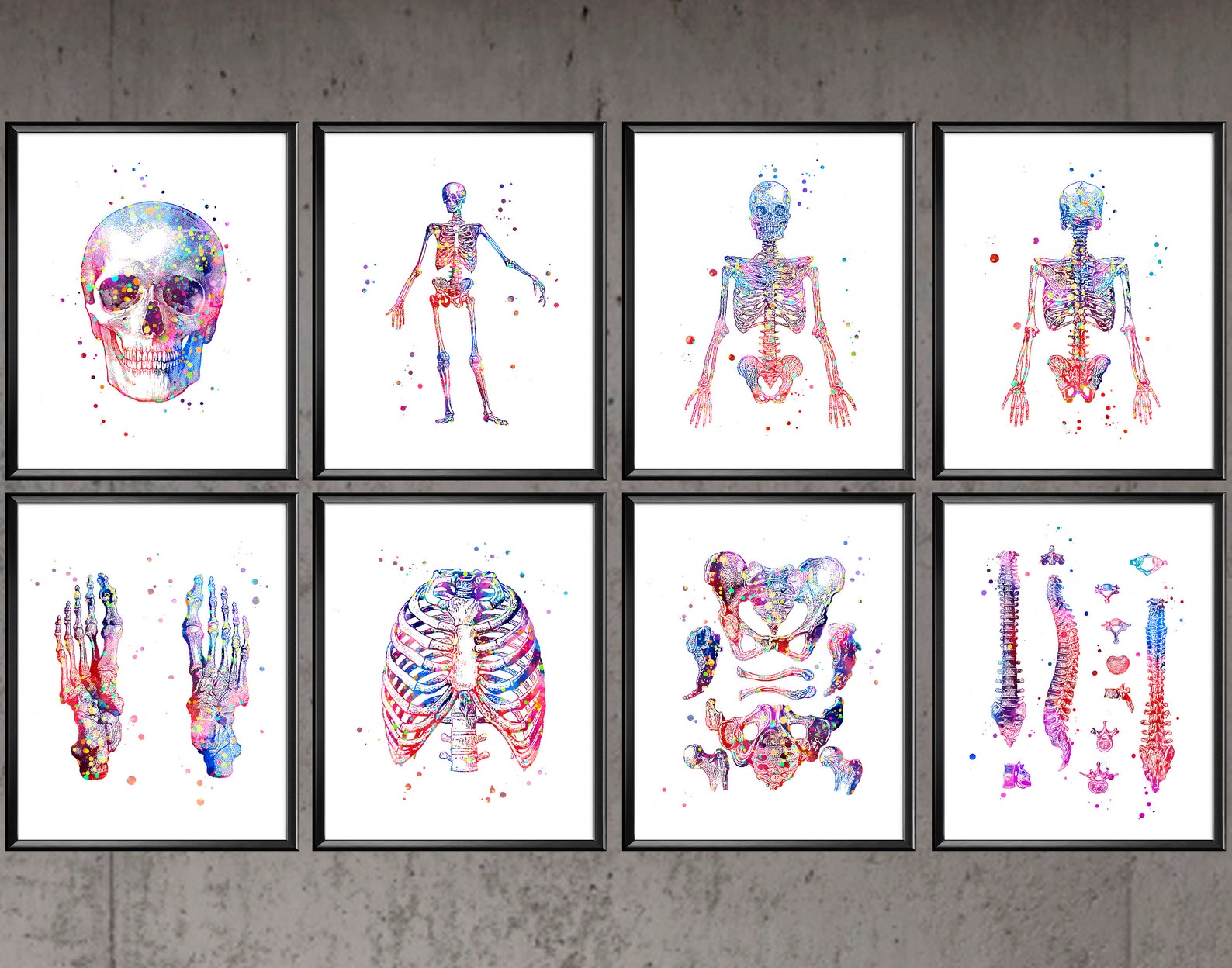 Skeleton Anatomy Print Set 8 Skeletal Bones Watercolor Art - Etsy