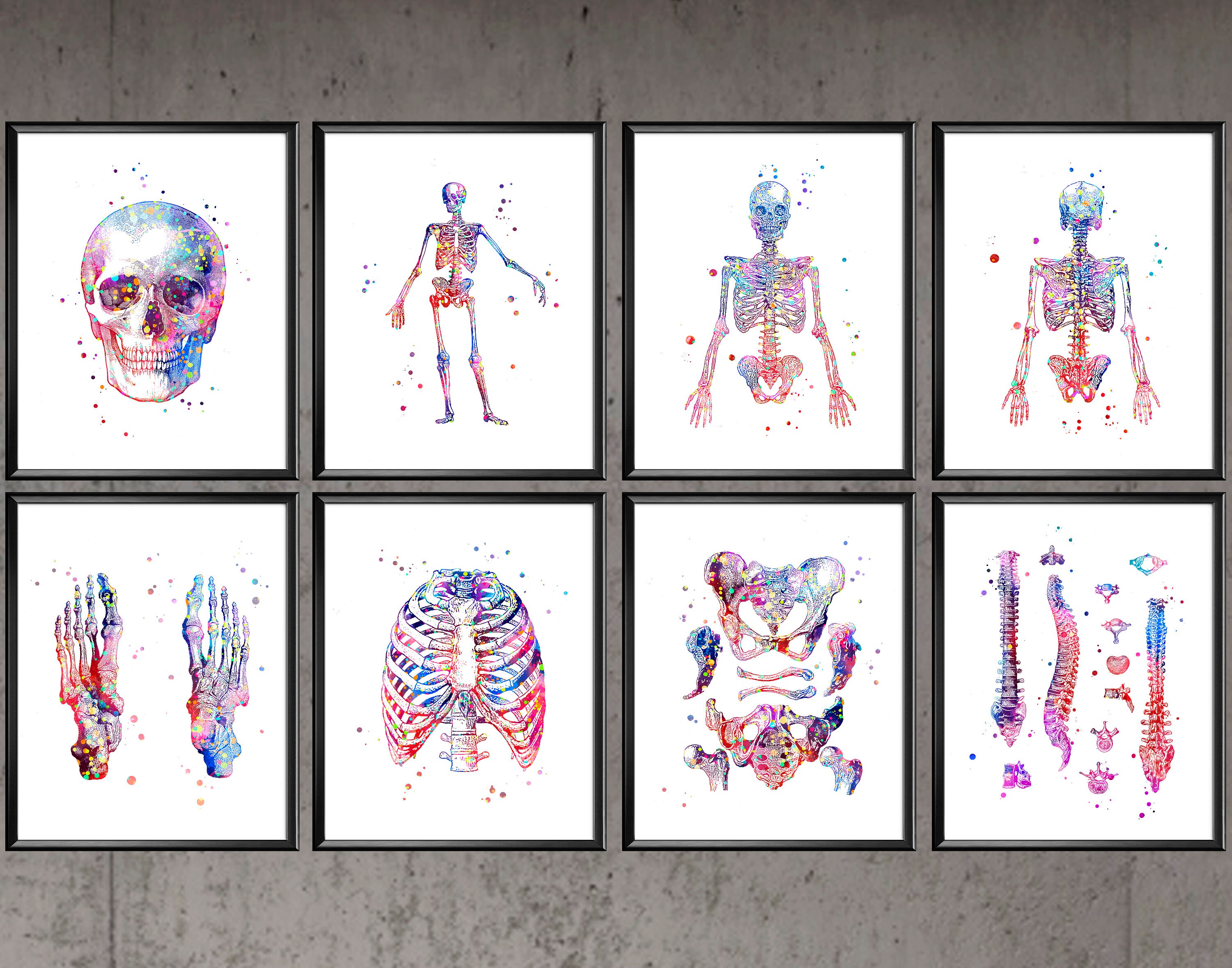 Skeleton Anatomy Print Set 8 Skeletal Bones Watercolor Art - Etsy