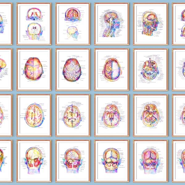 Neuroscience - Etsy