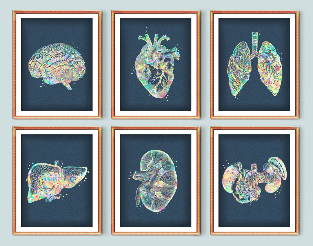 Colorful Anatomy Art Set of 6 Medical Art Doctor Artwork Anatomical ...