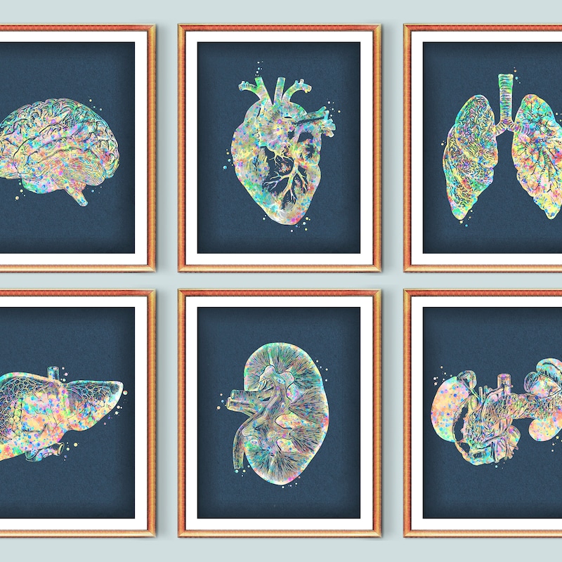 Medical Art - Etsy