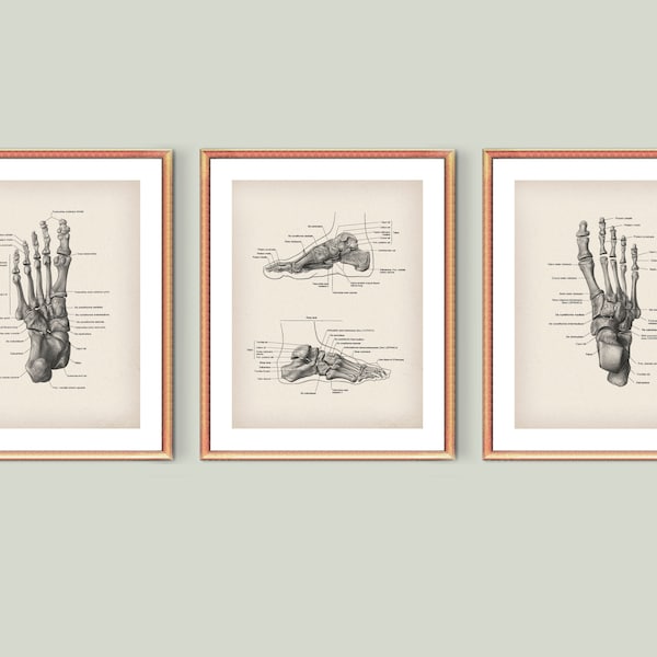 Podiatry Poster - Etsy