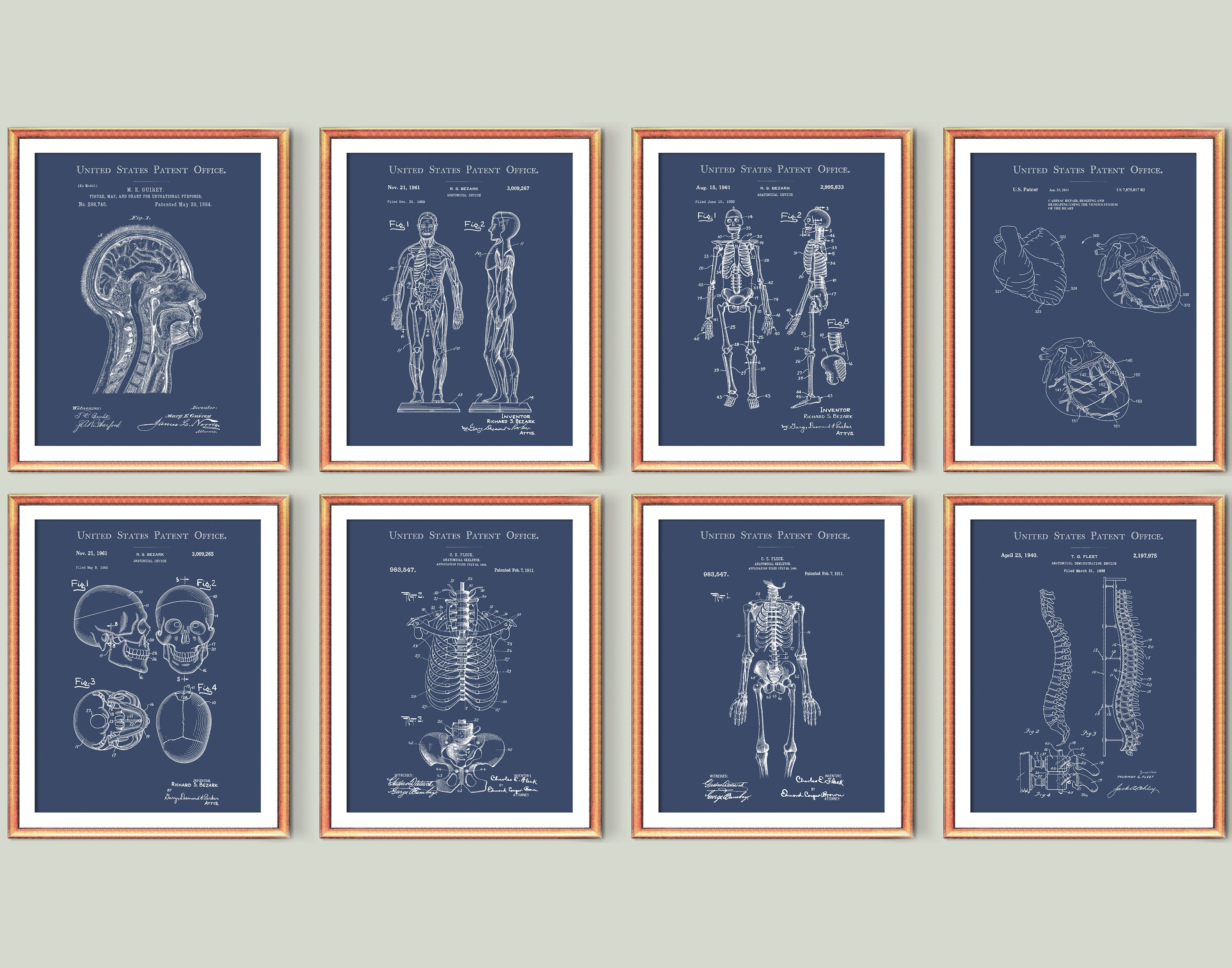 8 Medical Device Patent Art, Skeleton Structure Scheme, Muscular System ...