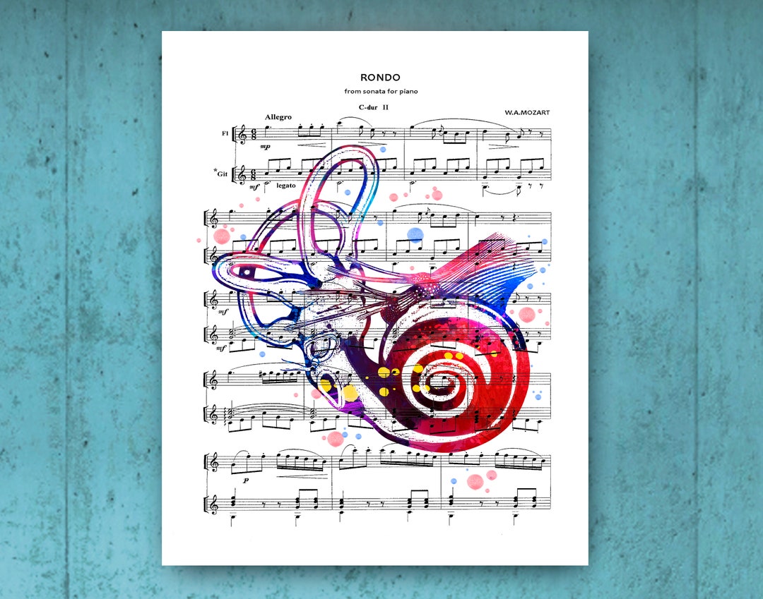 Cochlea of Inner Ear Art Musical Notes Art Vestibular System Organ ...