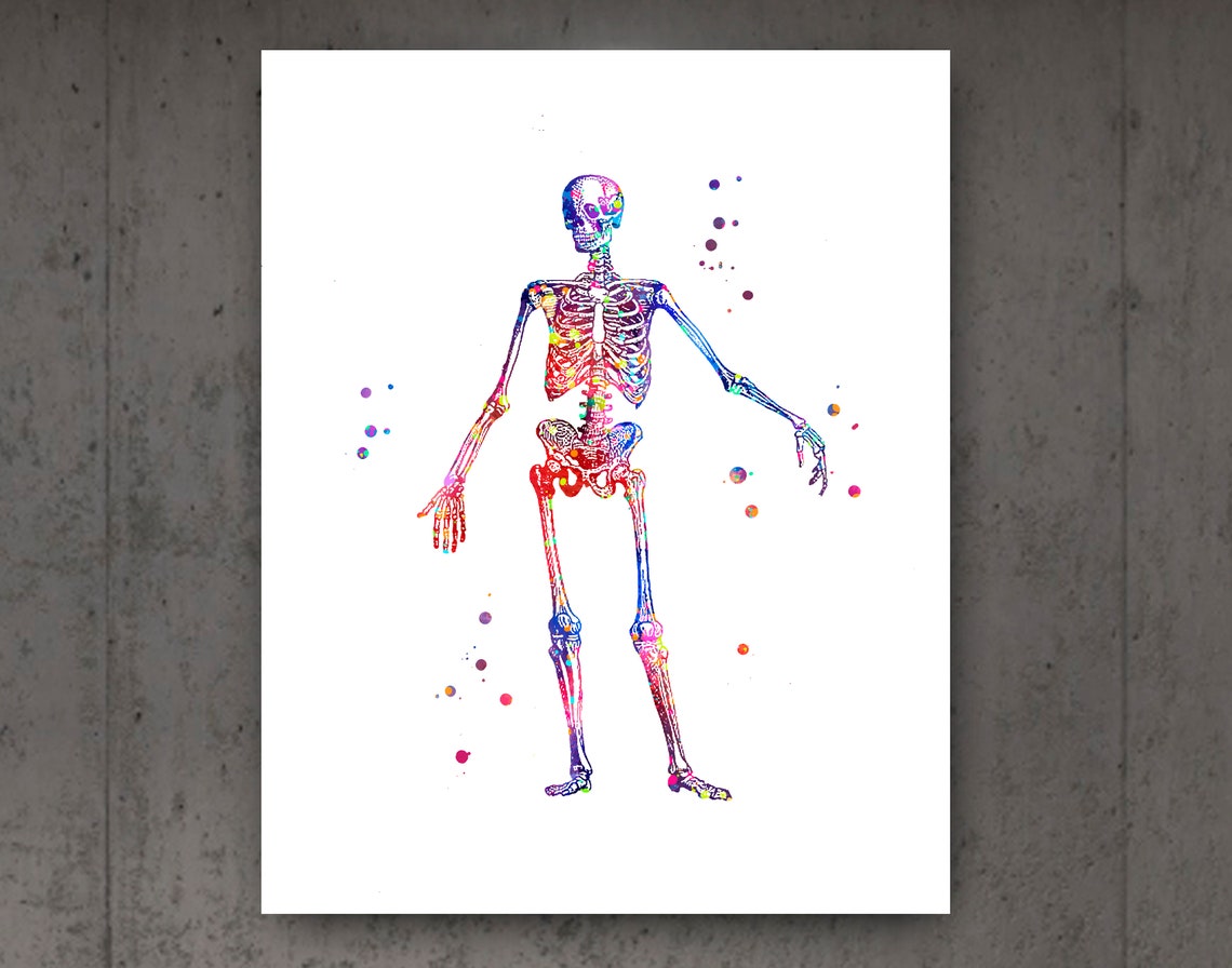 Skeleton Anatomy Print Set 8 Skeletal Bones Watercolor Art - Etsy