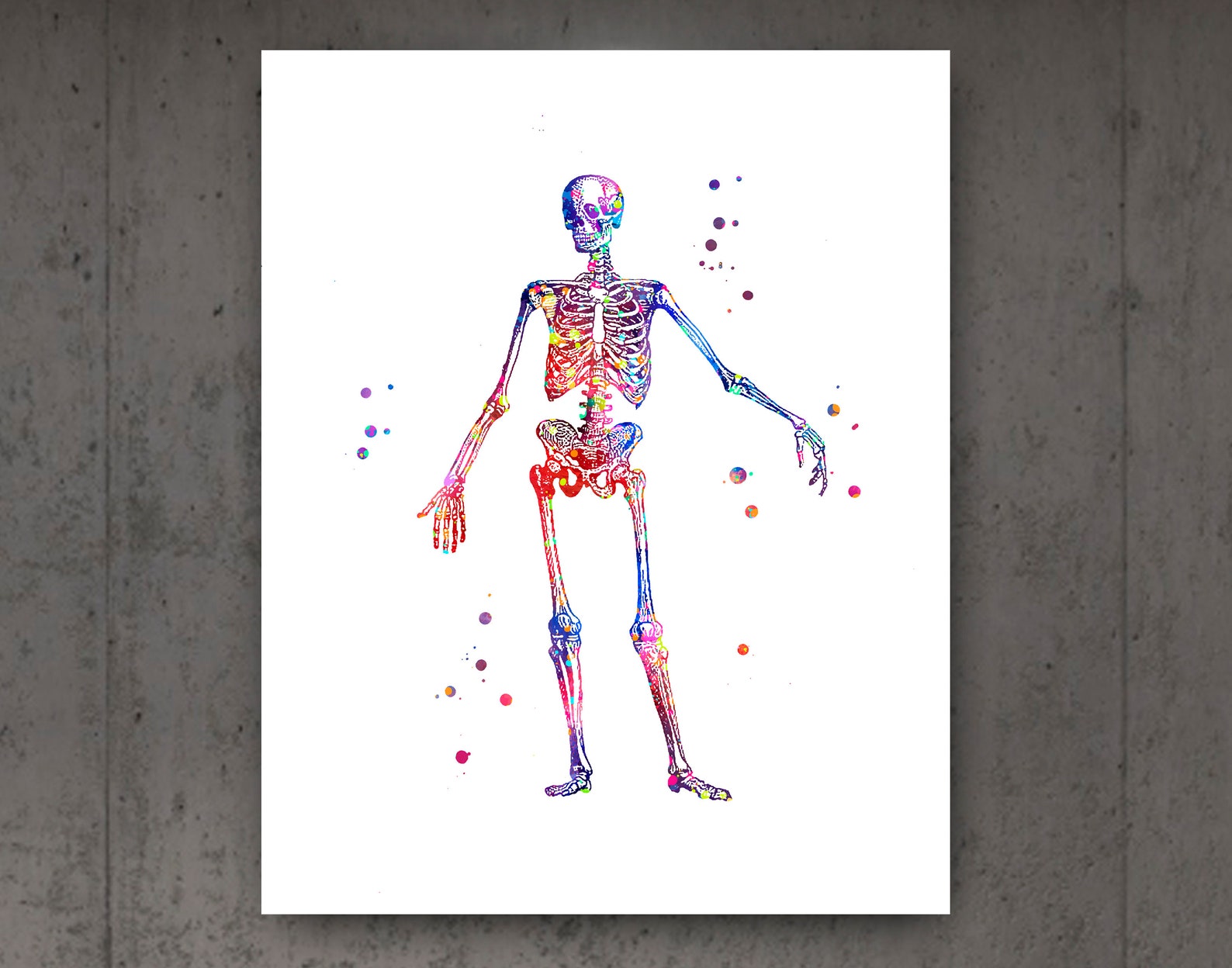 Skeleton Anatomy Print Set 8 Skeletal Bones Watercolor Art Skull Rib ...