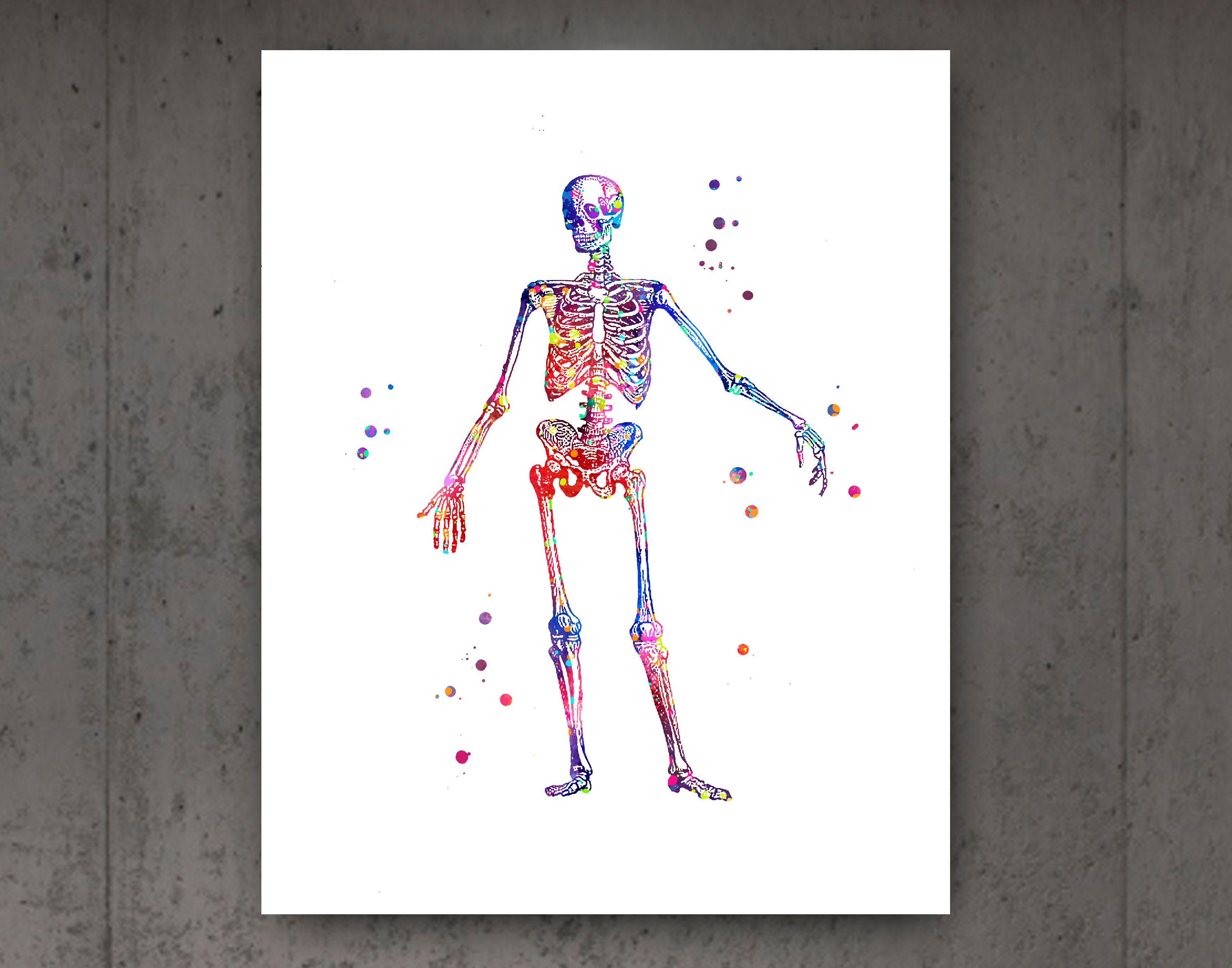 Skeleton Anatomy Print Set 8 Skeletal Bones Watercolor Art Skull Rib ...