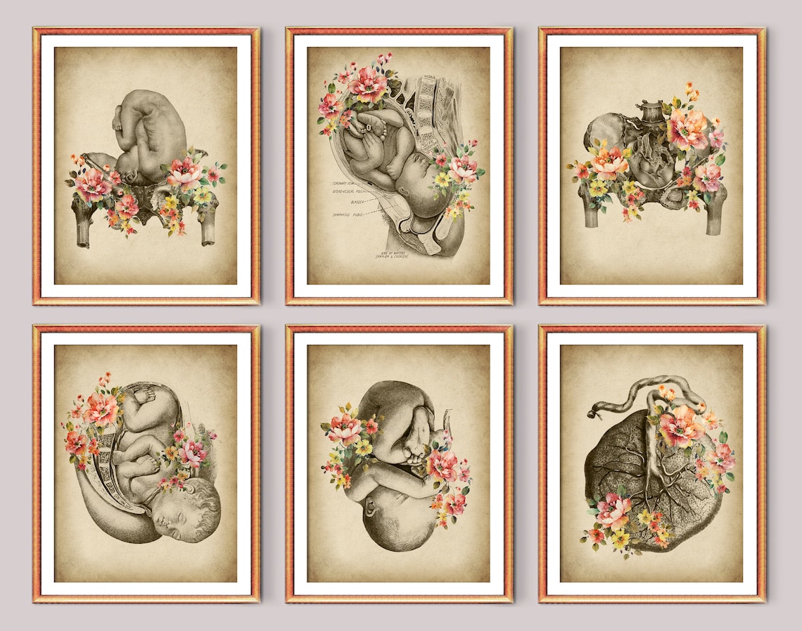 6 Vintage Midwifery Art Floral Baby Painting Pregnancy Art Obgyn Wall ...