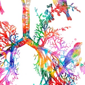 Lungs Printable, Anatomy Watercolor Art, Bronchial Tree, Trachea ...