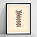 Spinal Anatomy Print Vertebral Column Vertebral Structure - Etsy