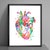 Foot Muscles Anatomy Print Set of 6 Surgical Art Medical Poster ...