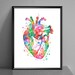 Foot Muscles Anatomy Print Set of 6 Surgical Art Medical Poster ...