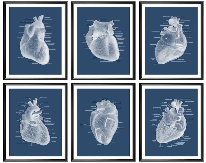 Anatomical Heart Tree Wall Art, Medical Office Decor, Wood Wall Hanging ...