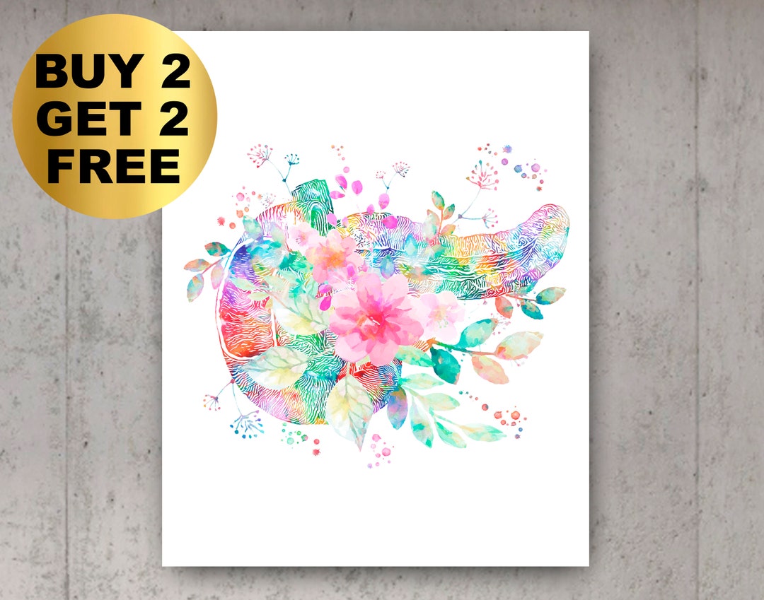 Floral Pancreas Art Digestive System Anatomy Art Medical Poster ...