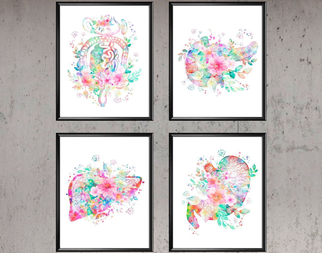 4 Digestive System Anatomy Art Gastroenterologist Gift Floral Pancreas ...