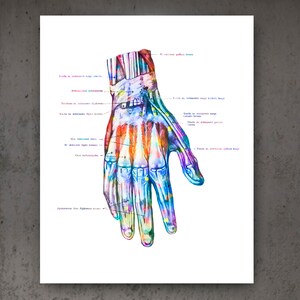 Hand Anatomy Print Set of 6 Wrist Muscles and Ligaments Print ...