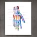 Hand Anatomy Print Set of 6 Wrist Muscles and Ligaments Print ...