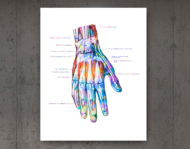 Hand Anatomy Print Set of 6 Wrist Muscles and Ligaments Print ...