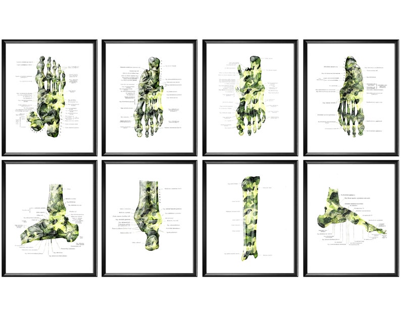 Foot Bones Poster Set of 8 Osteology Art Human Foot Anatomy - Etsy