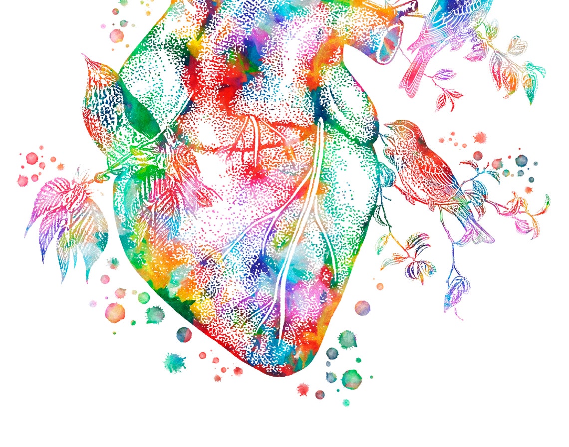 Cardiology Wall Art Anatomical Heart Medical Print Anatomy | Etsy