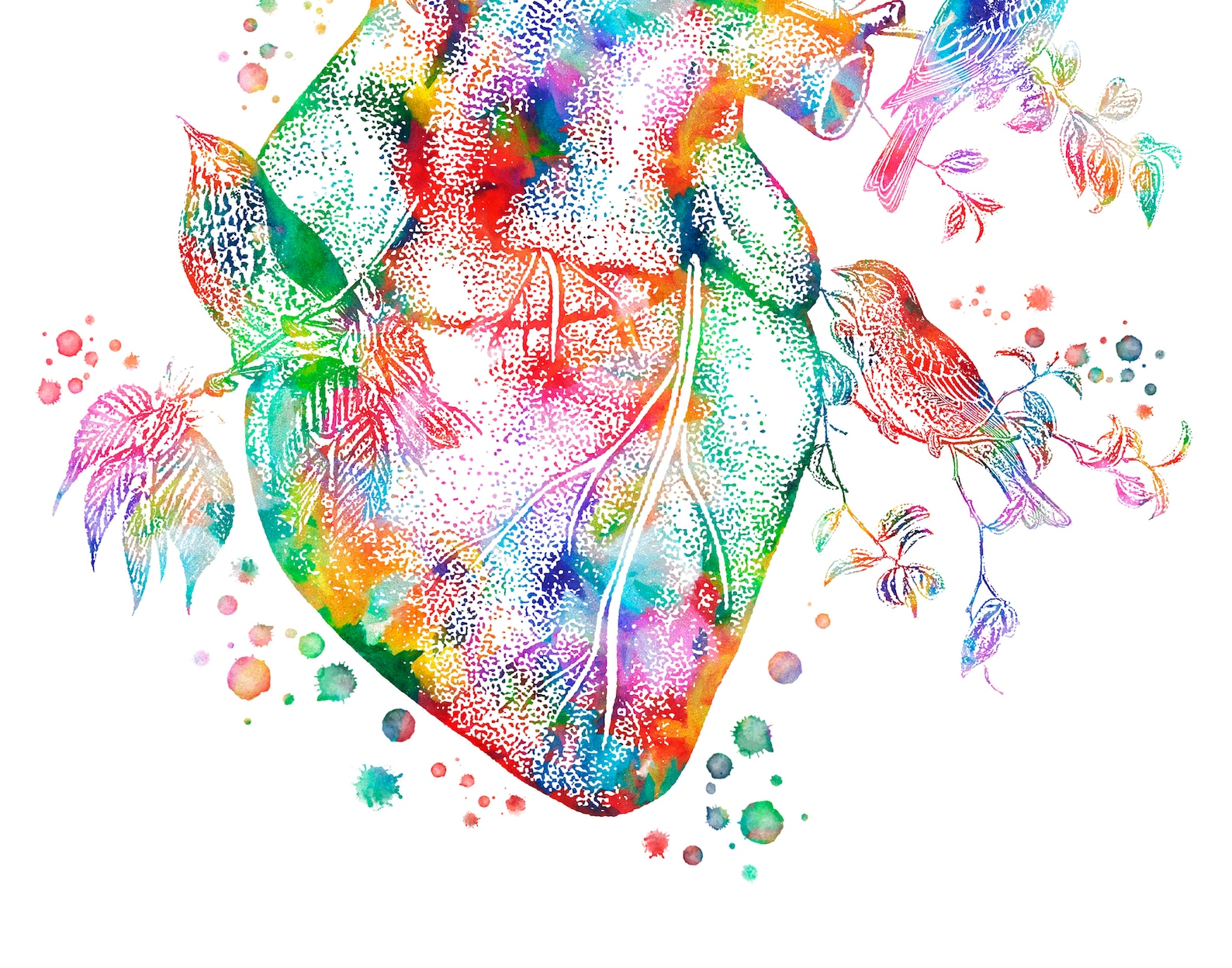 Cardiology Wall Art Anatomical Heart Medical Print Anatomy | Etsy