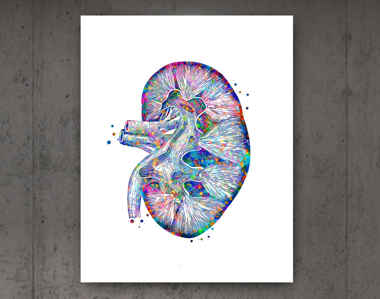 Anatomy Posters Medical Art Anatomical Heart Brain Lungs Liver - Etsy