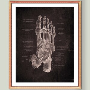 Anatomical Foot Poster Set of 8 Medical Poster Chalkboard Art Foot ...